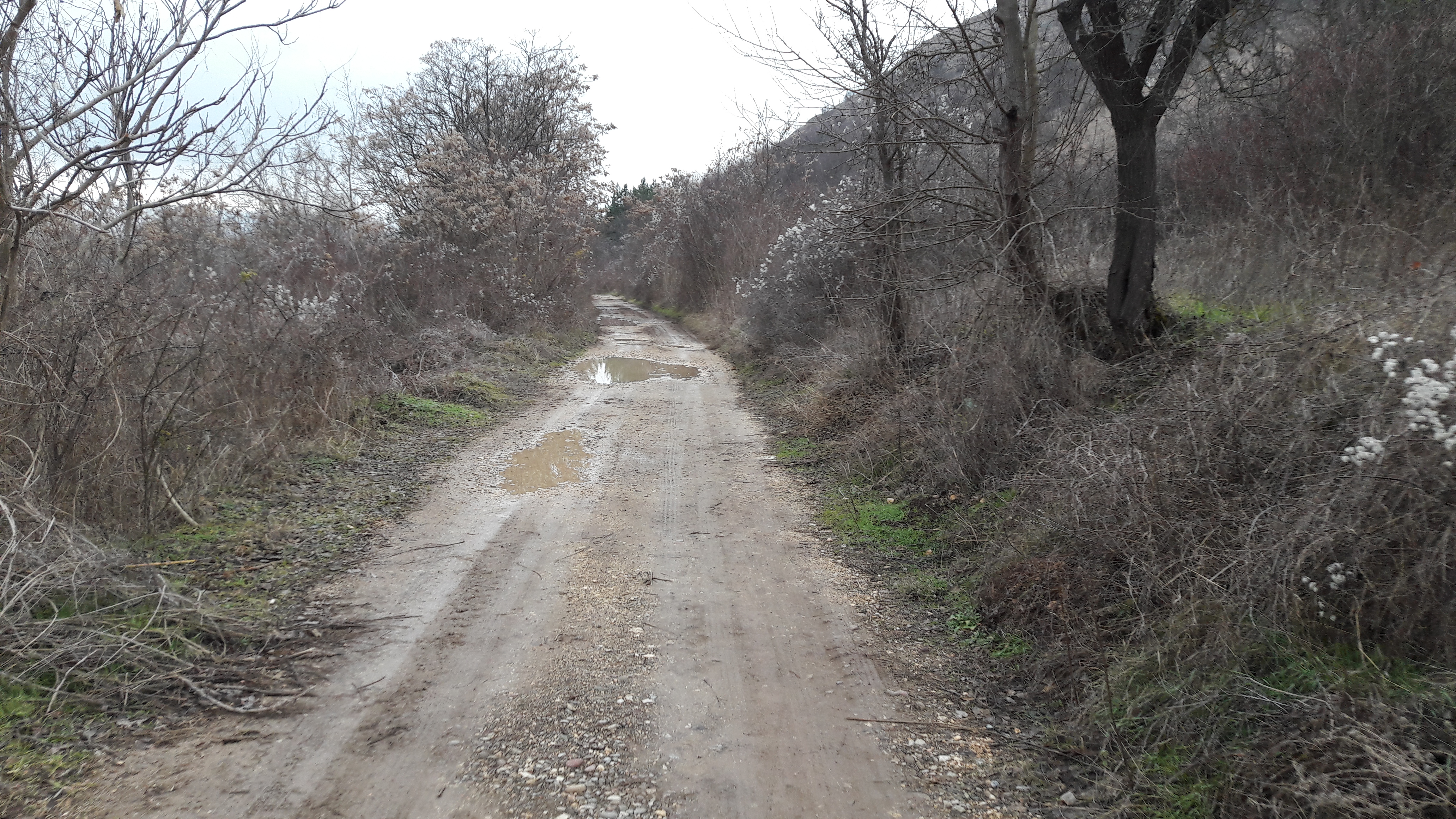 Belopalanačka sela Klenje i Bukurovac - Pirot i pirotski kraj